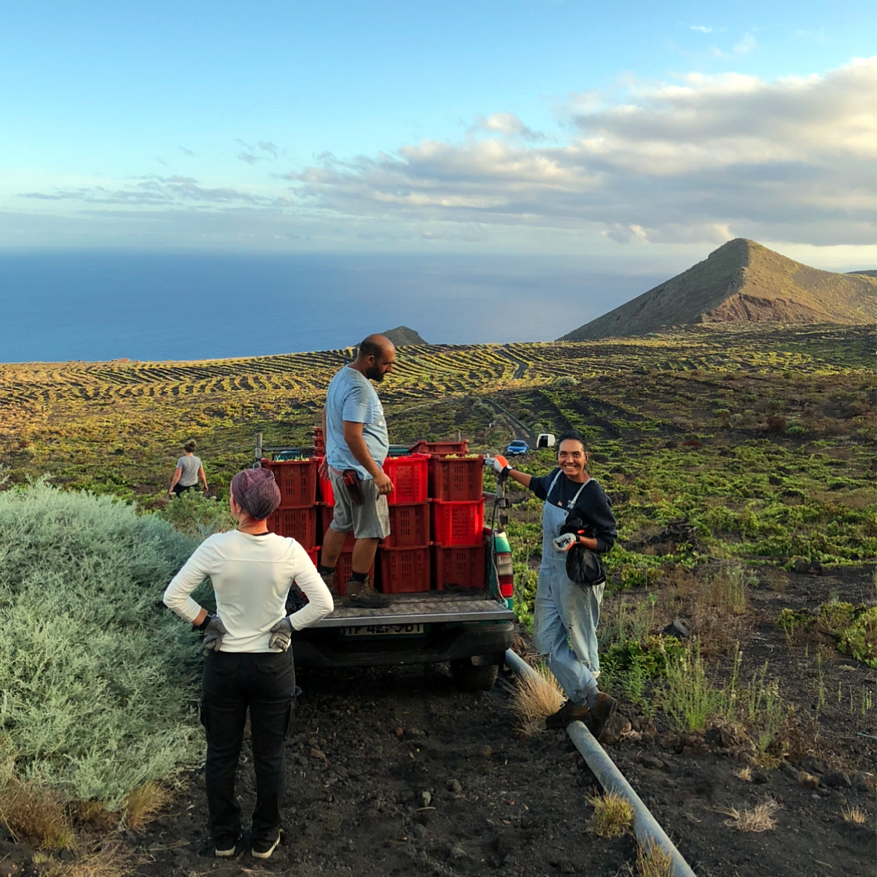 Bodegas Juan Matías Torres, Victoria Torres Pecis - Dryckesbutiken